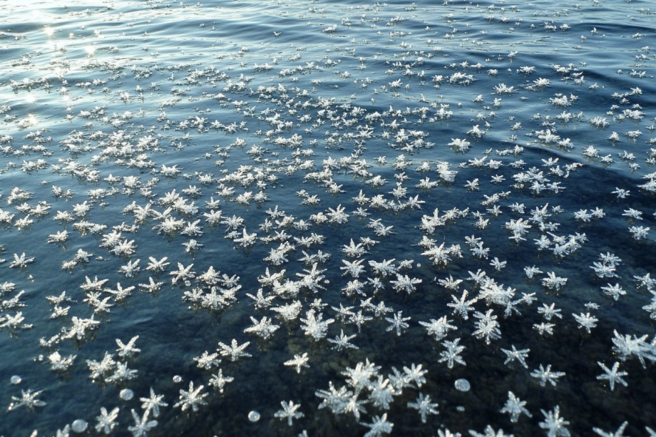 11 Rare Phenomena You Can Only See in the Arctic - The Voyaging