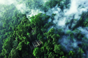 15 Unexplained Discoveries Found Deep in the Amazon - The Voyaging