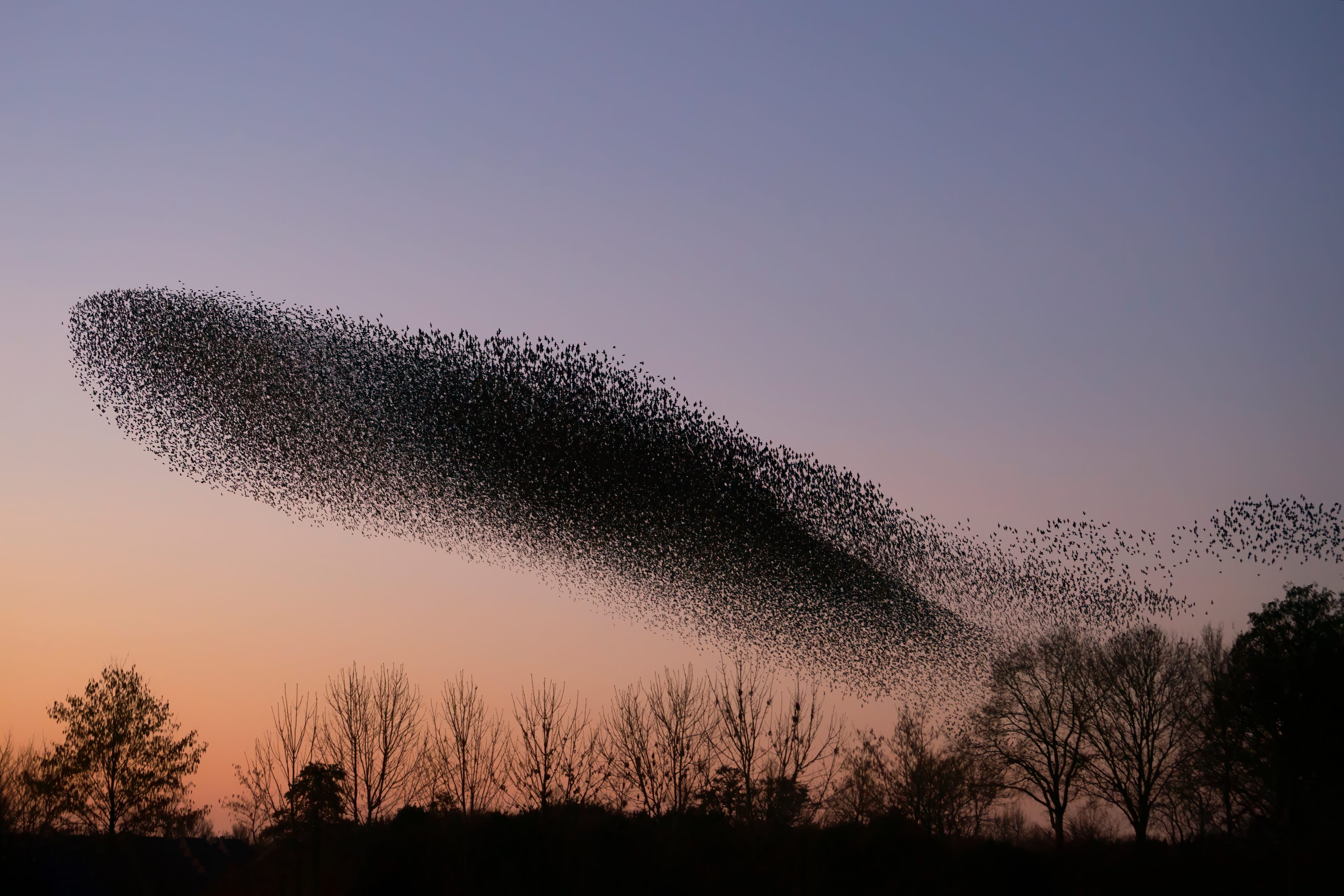 11 Weird Weather Phenomena You Won’t Believe Are Real - The Voyaging