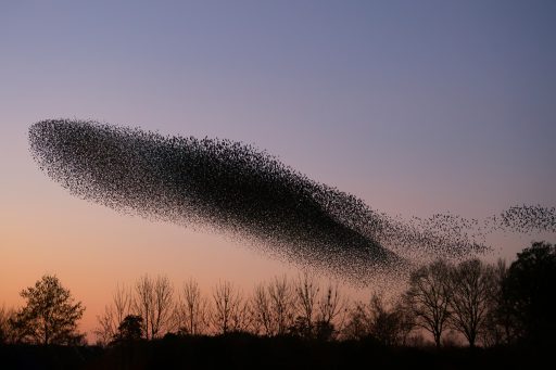 11 Weird Weather Phenomena You Won’t Believe Are Real - The Voyaging