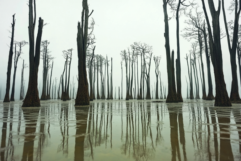11 Unexpected Ways Earth Fights Back Against Human Influence - The Voyaging