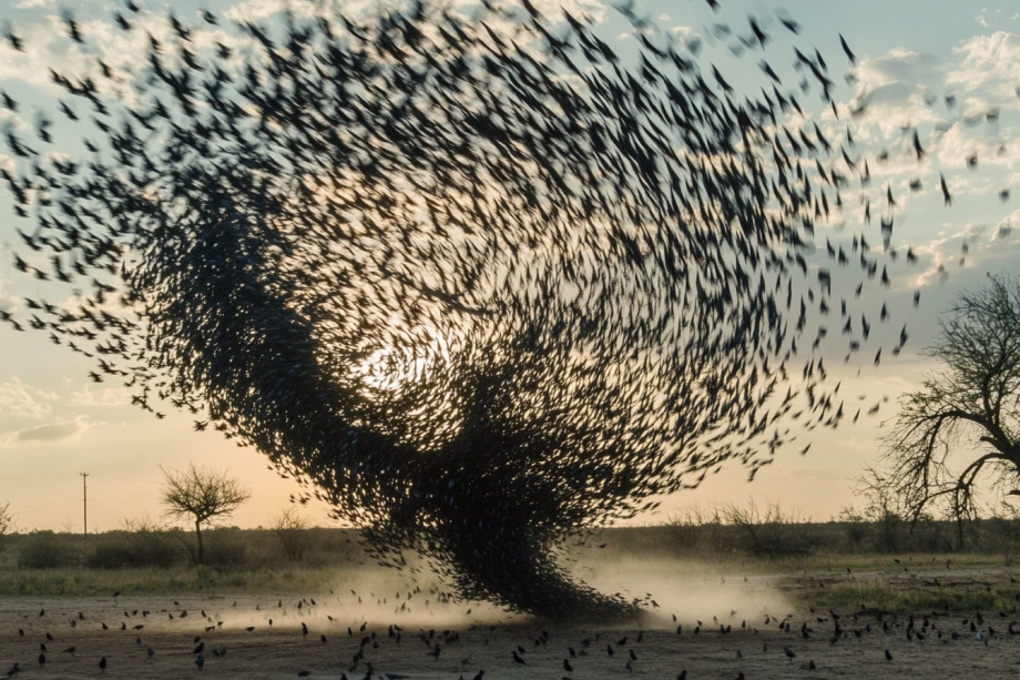 15 Bizarre Natural Events That Only Happen Once in a Lifetime - The ...