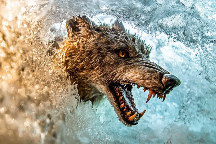 15 Weirdest Things Found Frozen in Ice - The Voyaging