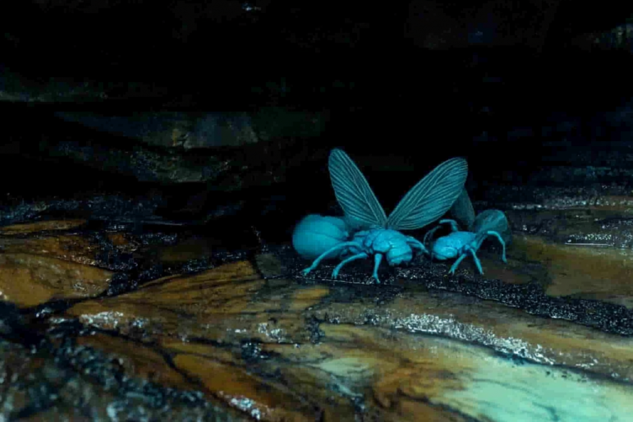 15 Unbelievable Underground Creatures That Look Straight Out of Sci-Fi ...