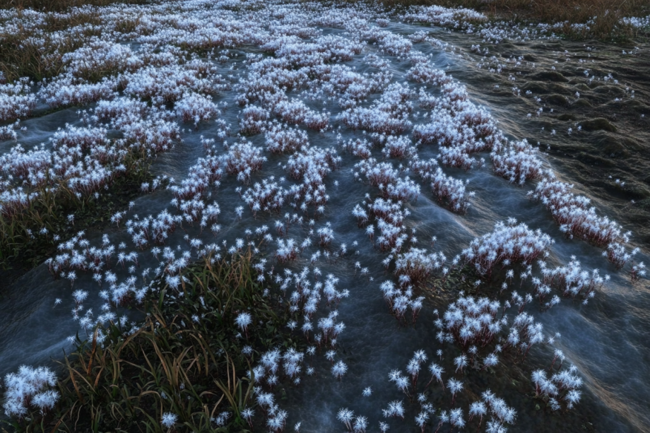 13 Weird Ways That Ice and Snow Have Created Optical Illusions in ...