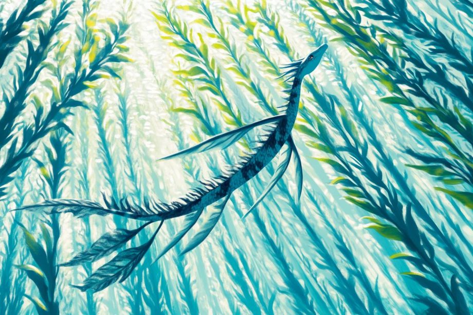 14 Unbelievable Creatures That Defy Evolution - The Voyaging